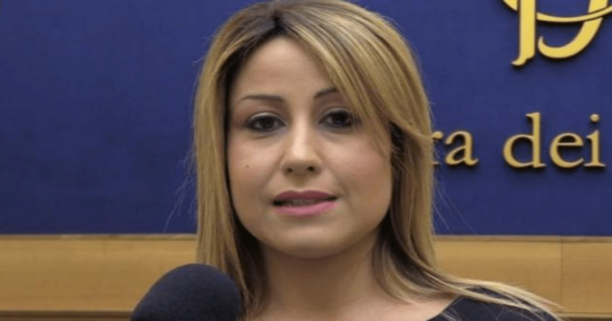 Crisi di Governo, la deputata di IV Rostan risponde all'appello di ...